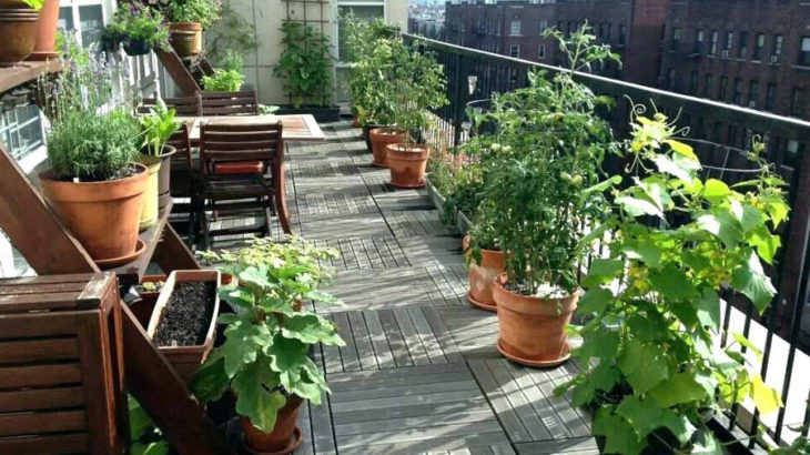 Convert your Balcony to a Garden - Toronto Condo News Convert your Balcony to a Garden - Toronto Condo News